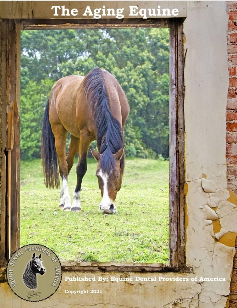 Development of Dentition in Small Equine and Related Cases – Equine ...